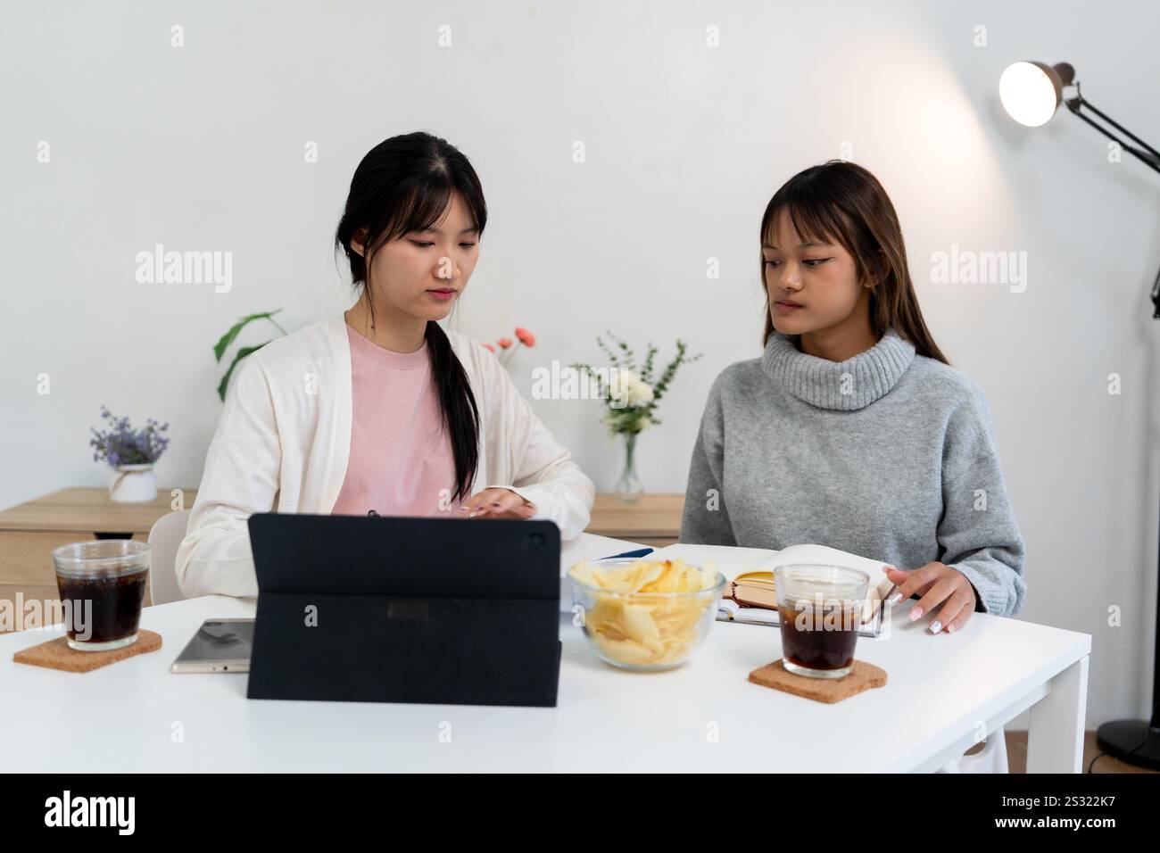 Female higher education student using laptop and studying book in home ...