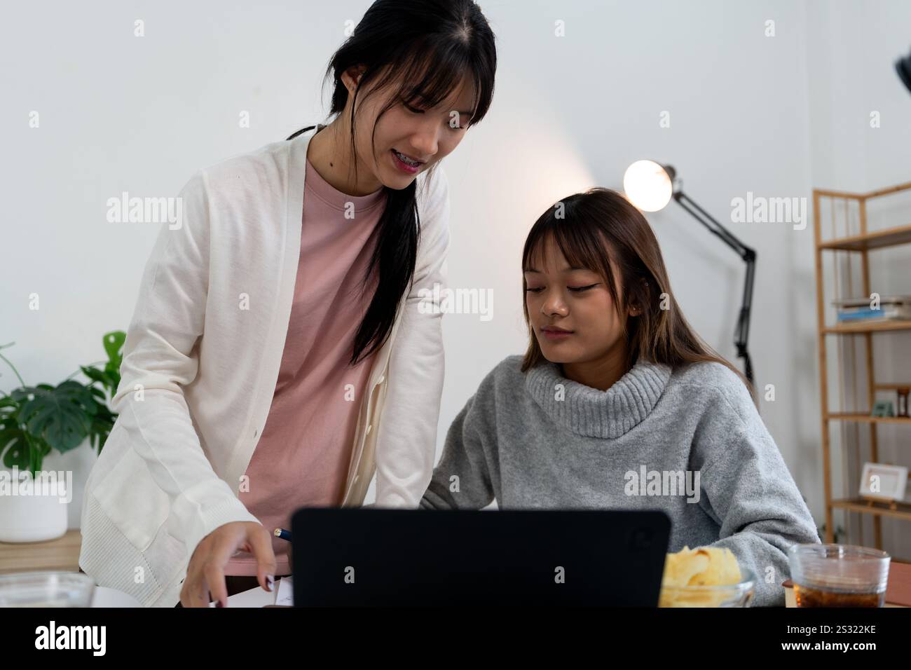 Female higher education student using laptop and studying book in home ...