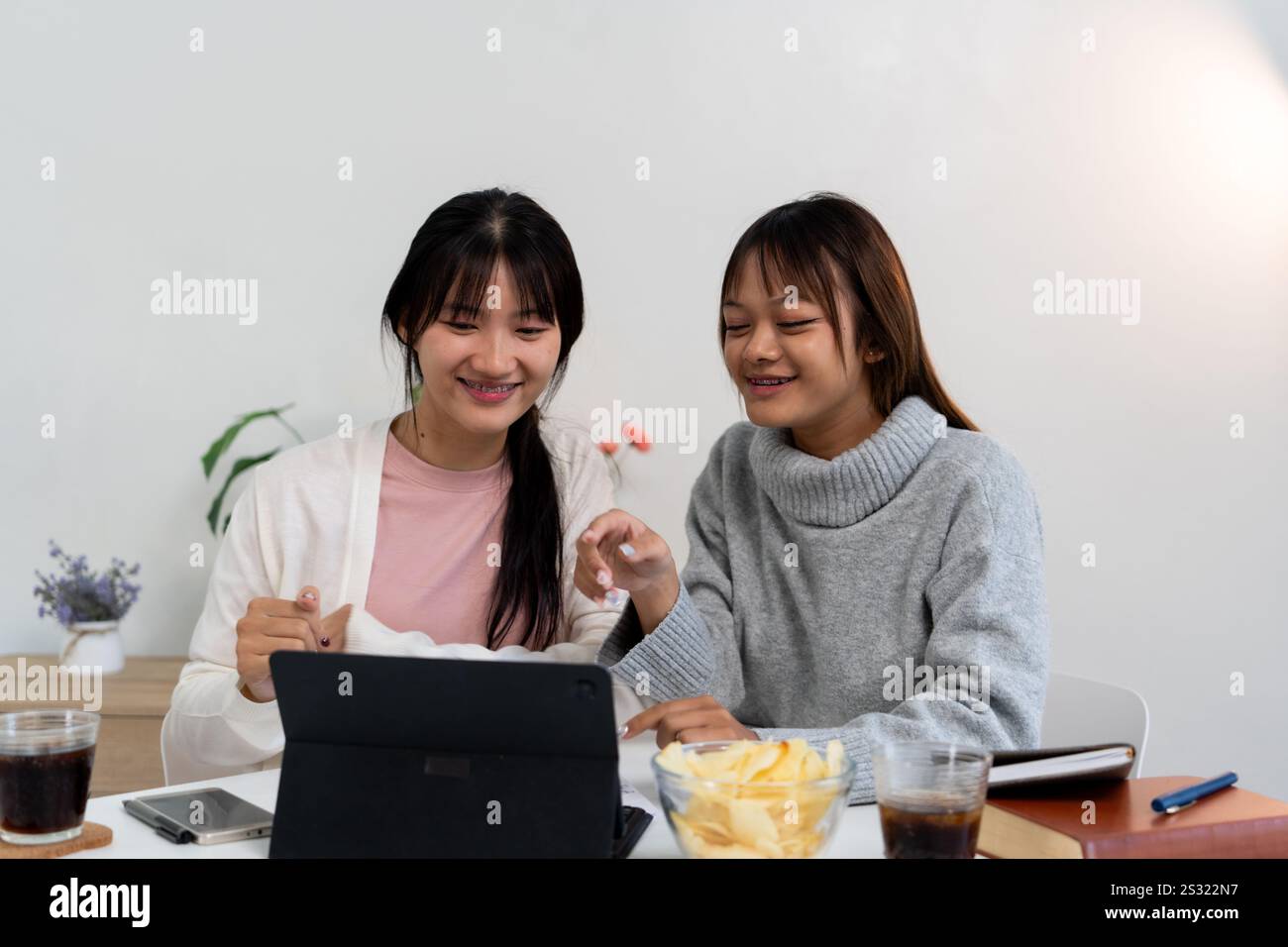 Female higher education student using laptop and studying book in home ...