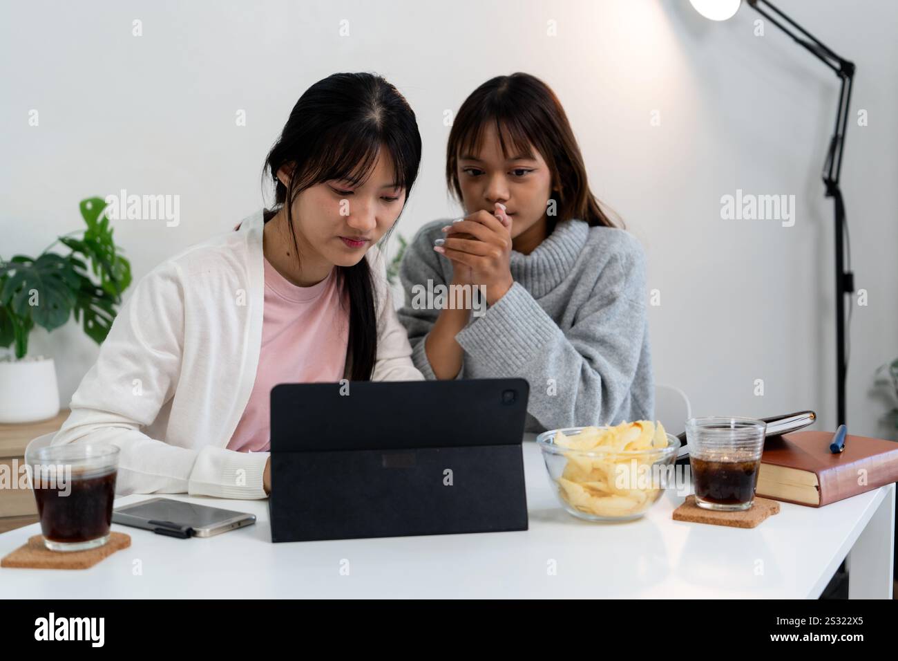 Female higher education student using laptop and studying book in home ...