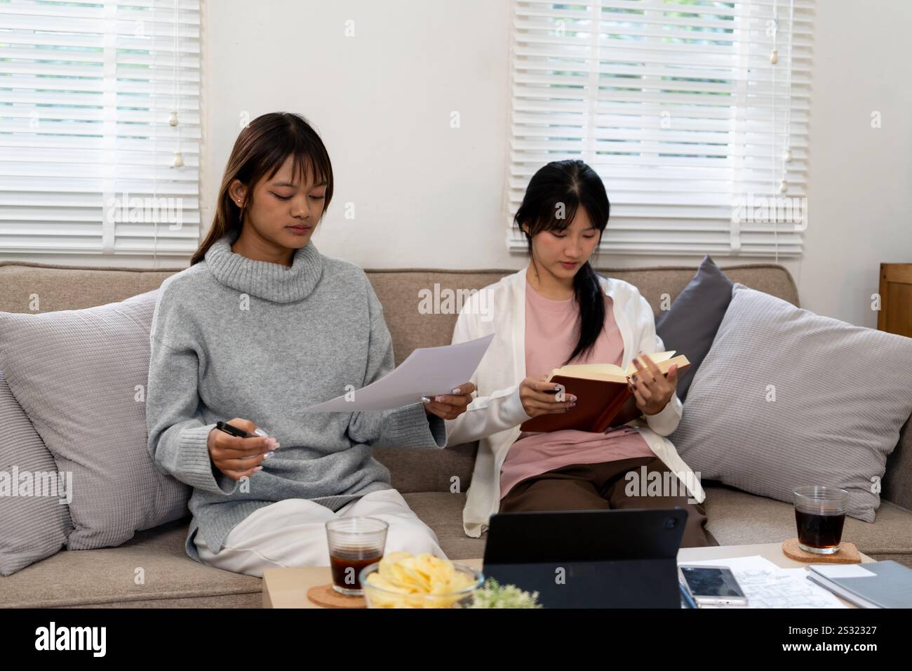 Female higher education student using laptop and studying book in home ...