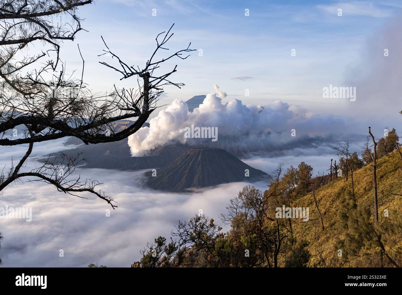Smoke rising from Bromo volcano, Mount Bromo eruption Java island ...
