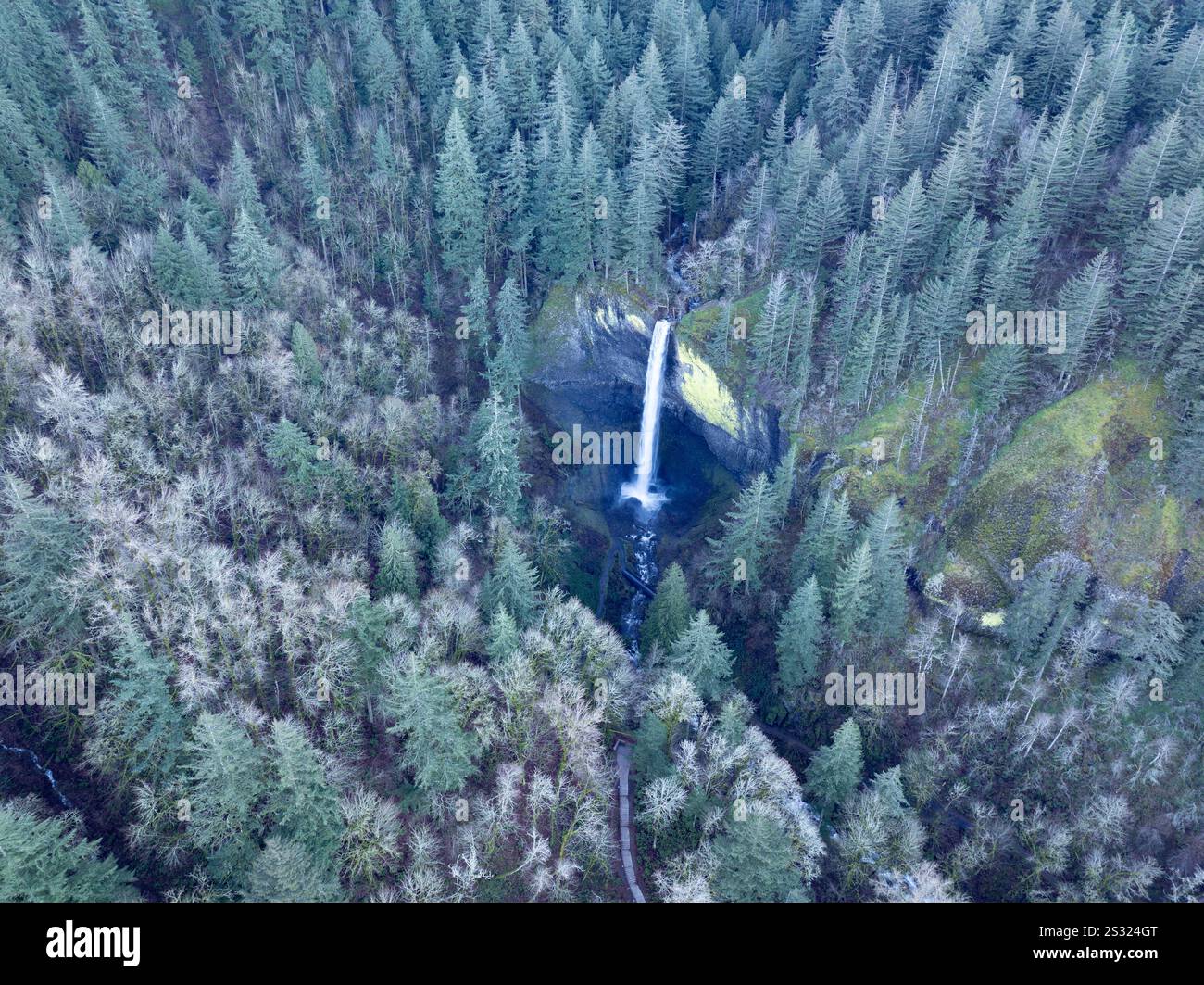 Latourell Falls flows out of a thick forest in the Columbia River Gorge ...