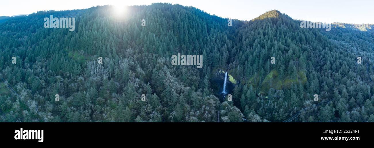 Latourell Falls flows out of a thick forest in the Columbia River Gorge ...