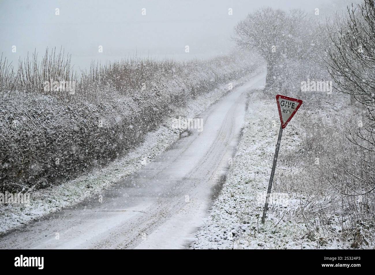 Beaminster, Dorset, UK. 8th January 2025. UK Weather: Snow falling and ...