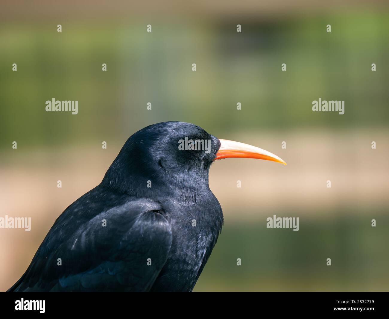Clough family hi-res stock photography and images - Alamy