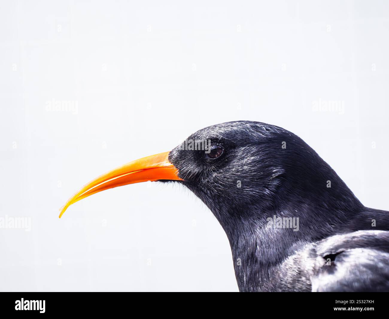 Clough family hi-res stock photography and images - Alamy