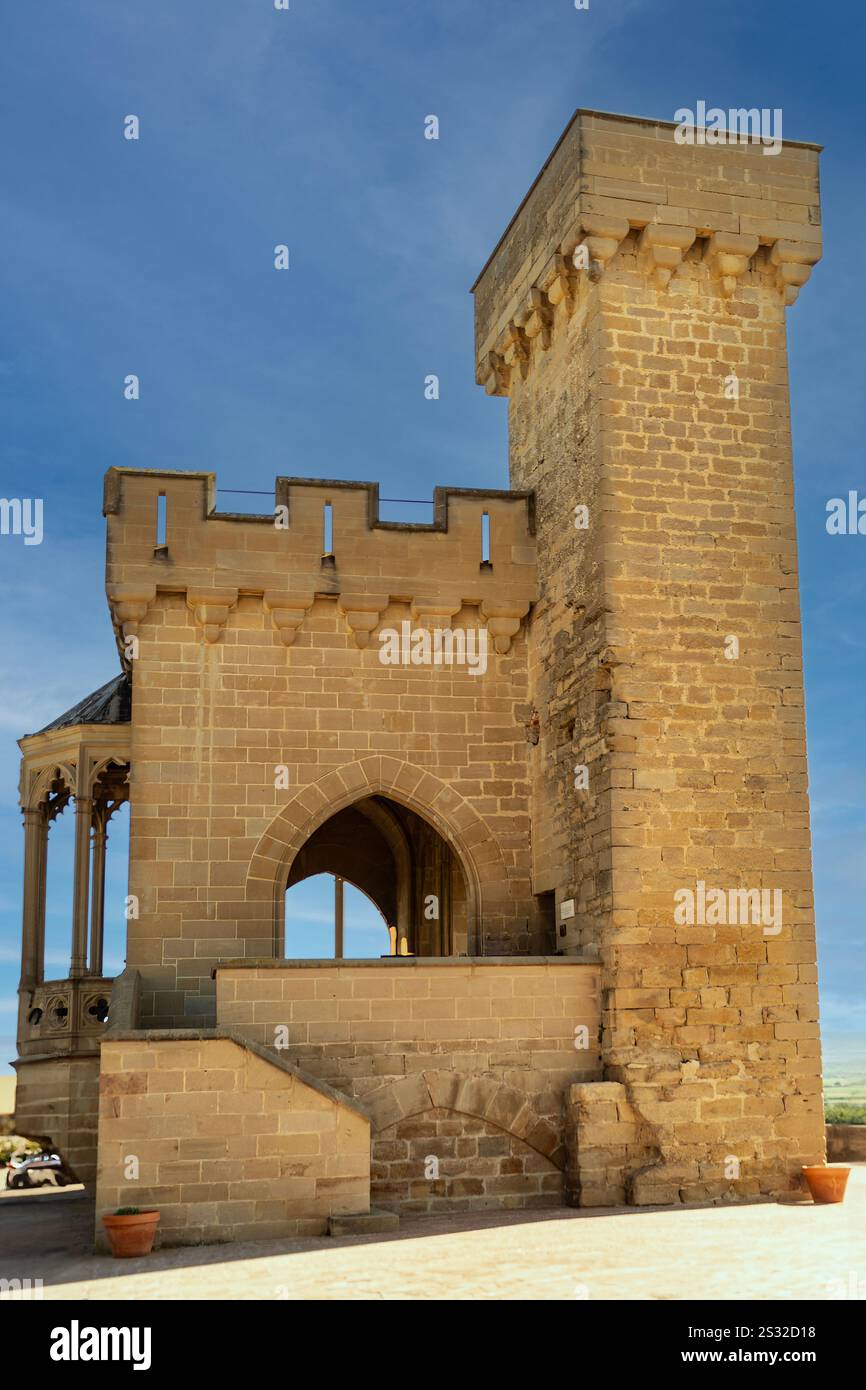 Medieval castle architecture featuring turrets, ivy, and intricate ...