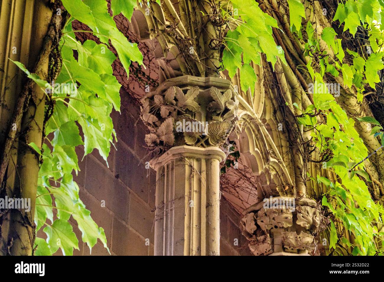 Detailed Gothic column adorned with foliage and decorative carvings ...