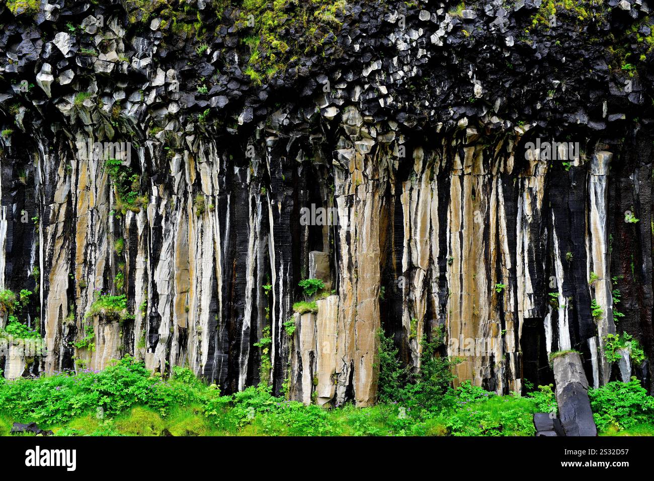 Columnar basalt in Svartifoss waterfall. Skaftafell National Park ...