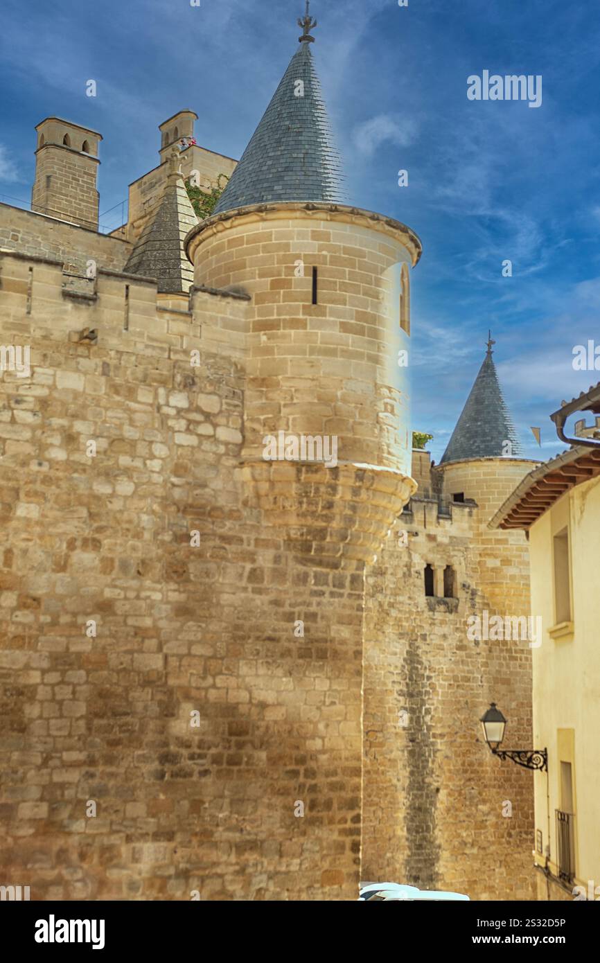 Medieval castle architecture featuring turrets, ivy, and intricate ...