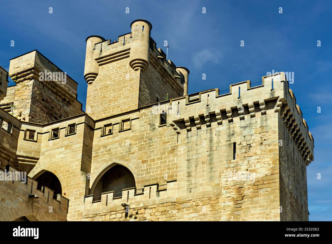 Medieval castle architecture featuring turrets, ivy, and intricate ...
