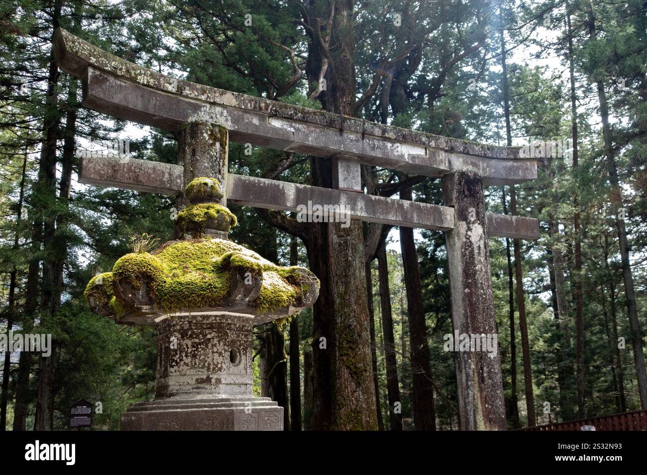 Torii gate stands prominently in hi-res stock photography and images ...