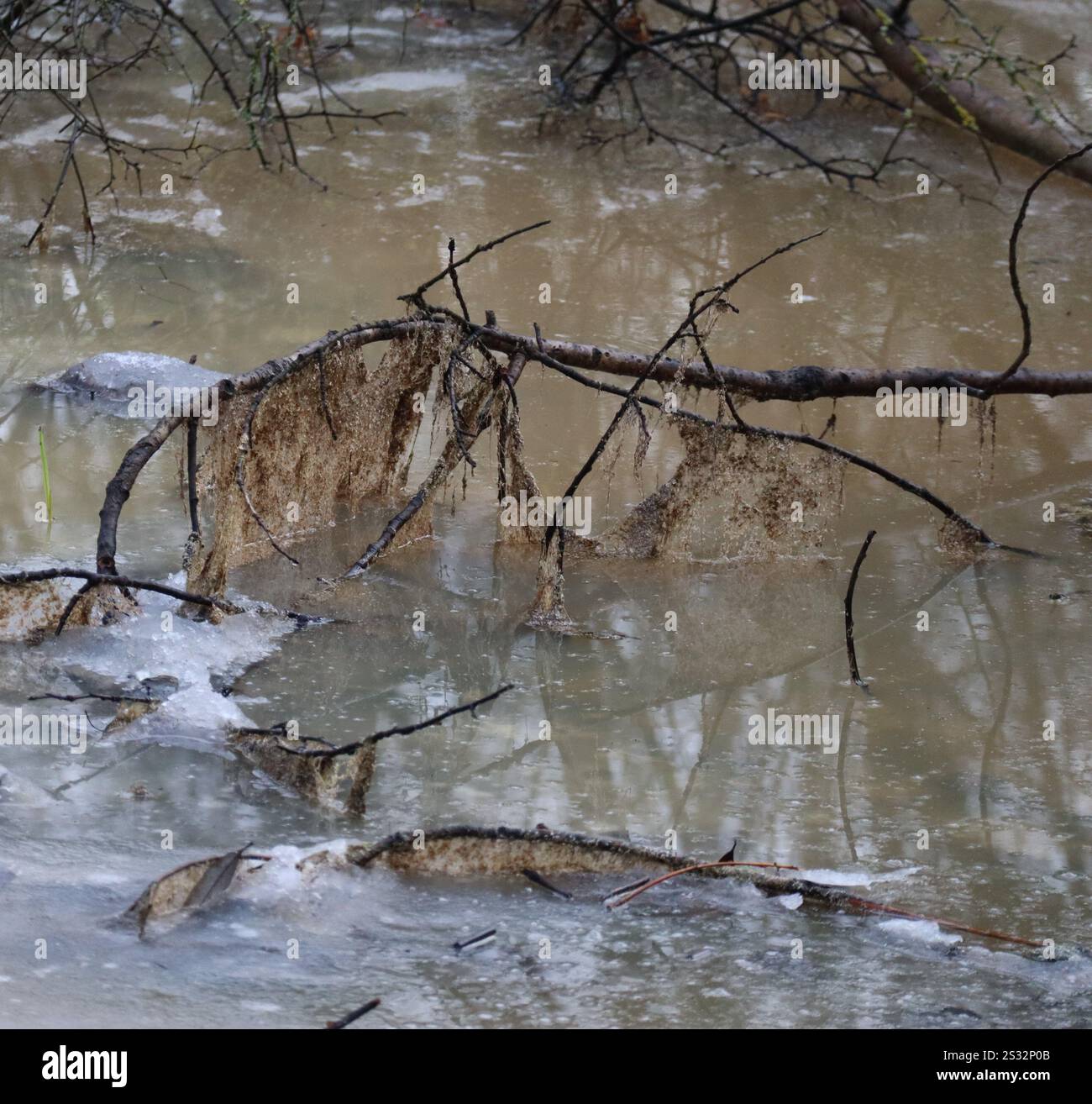 Curtain like structure hi-res stock photography and images - Alamy