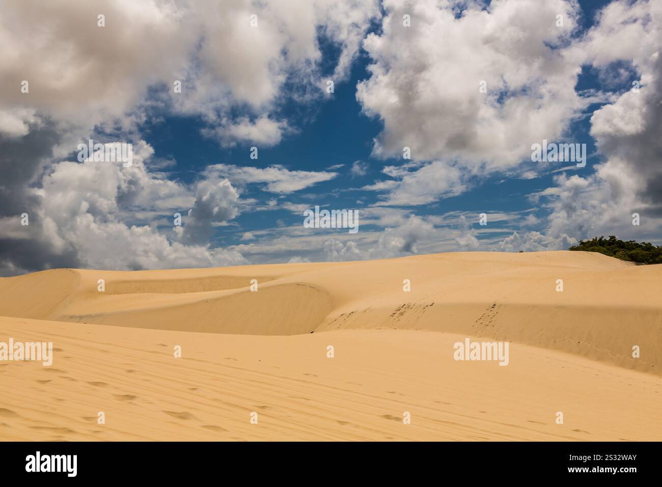 Dunas de Jenipabu, Natal, Brazil Stock Photo - Alamy