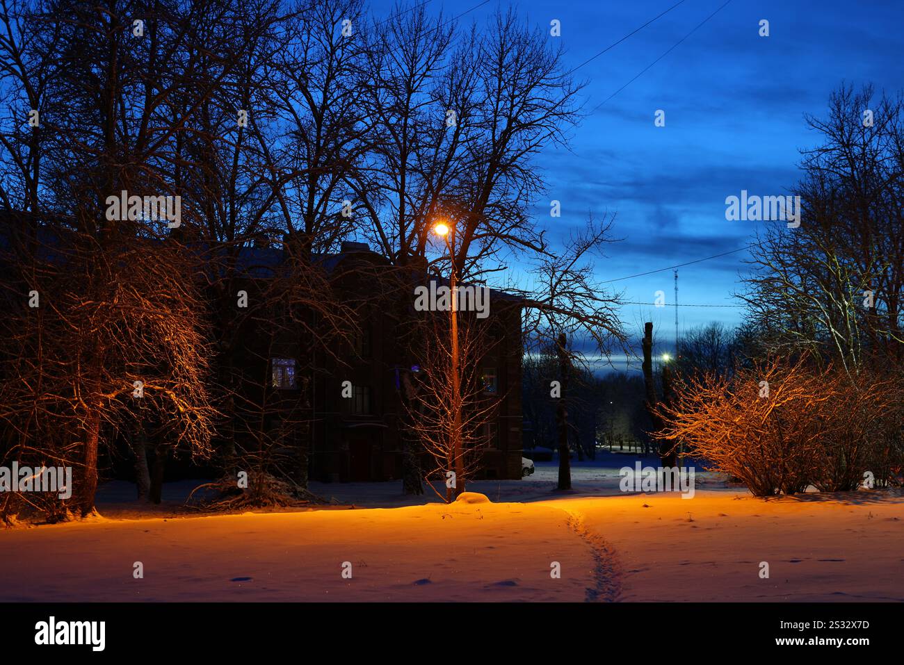 A beautiful winter night scene showcasing snow gently falling beneath a ...