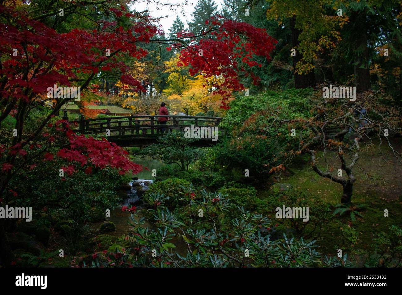 Woman in a red coat crossing a bridge over a small creek in the ...