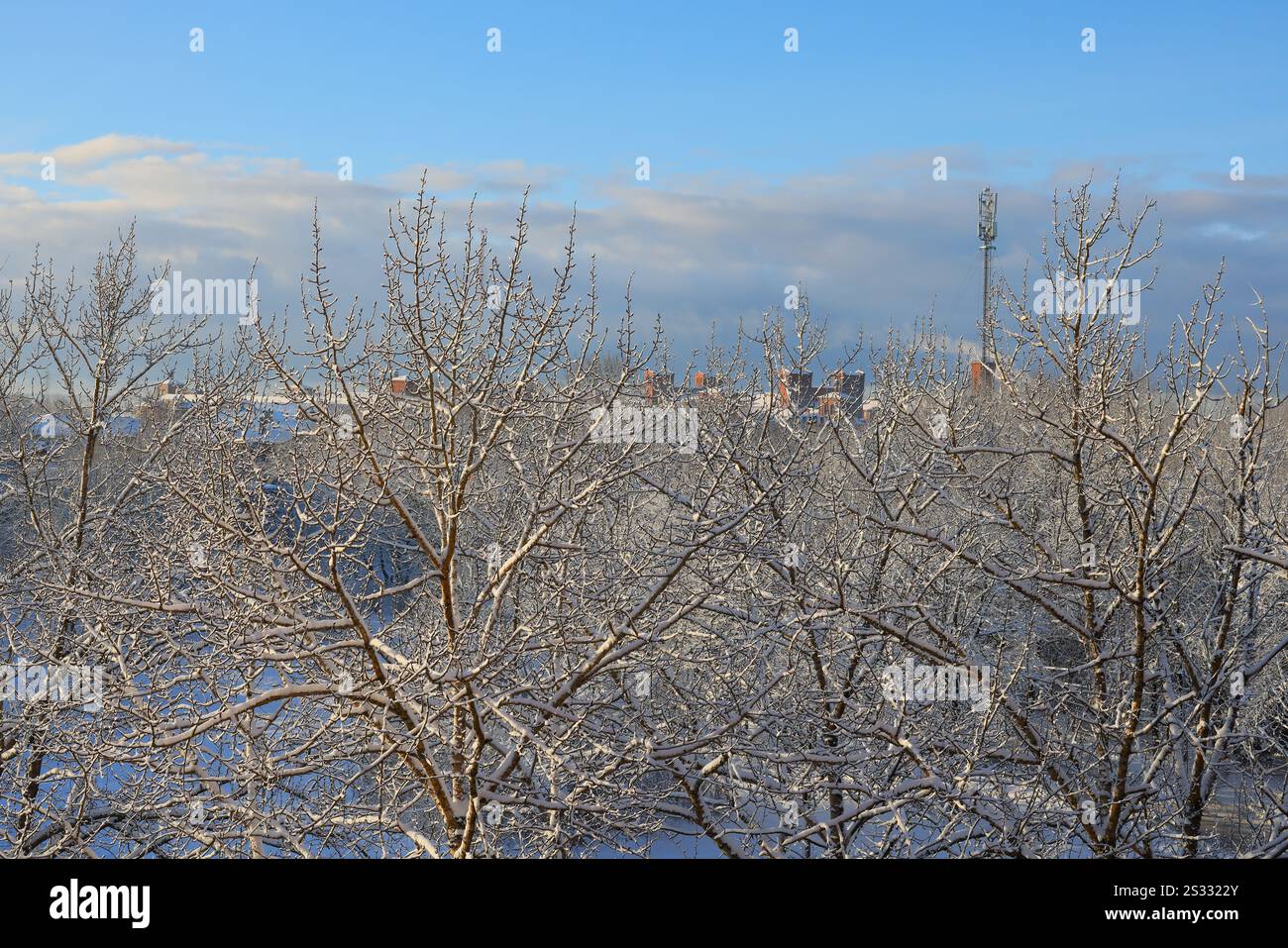 A magnificent winter landscape featuring trees blanketed in fresh, pure white snow Stock Photo ...