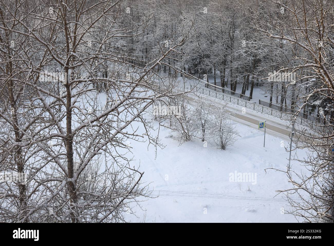 A Beautiful Winter Scene Featuring SnowCovered Trees Along a Quiet Road ...