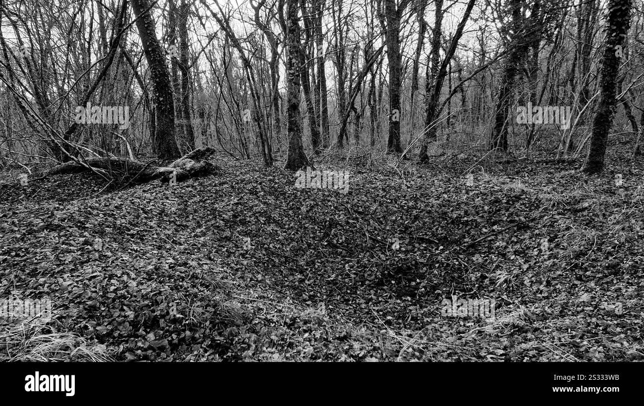 France red zone Black and White Stock Photos & Images - Alamy