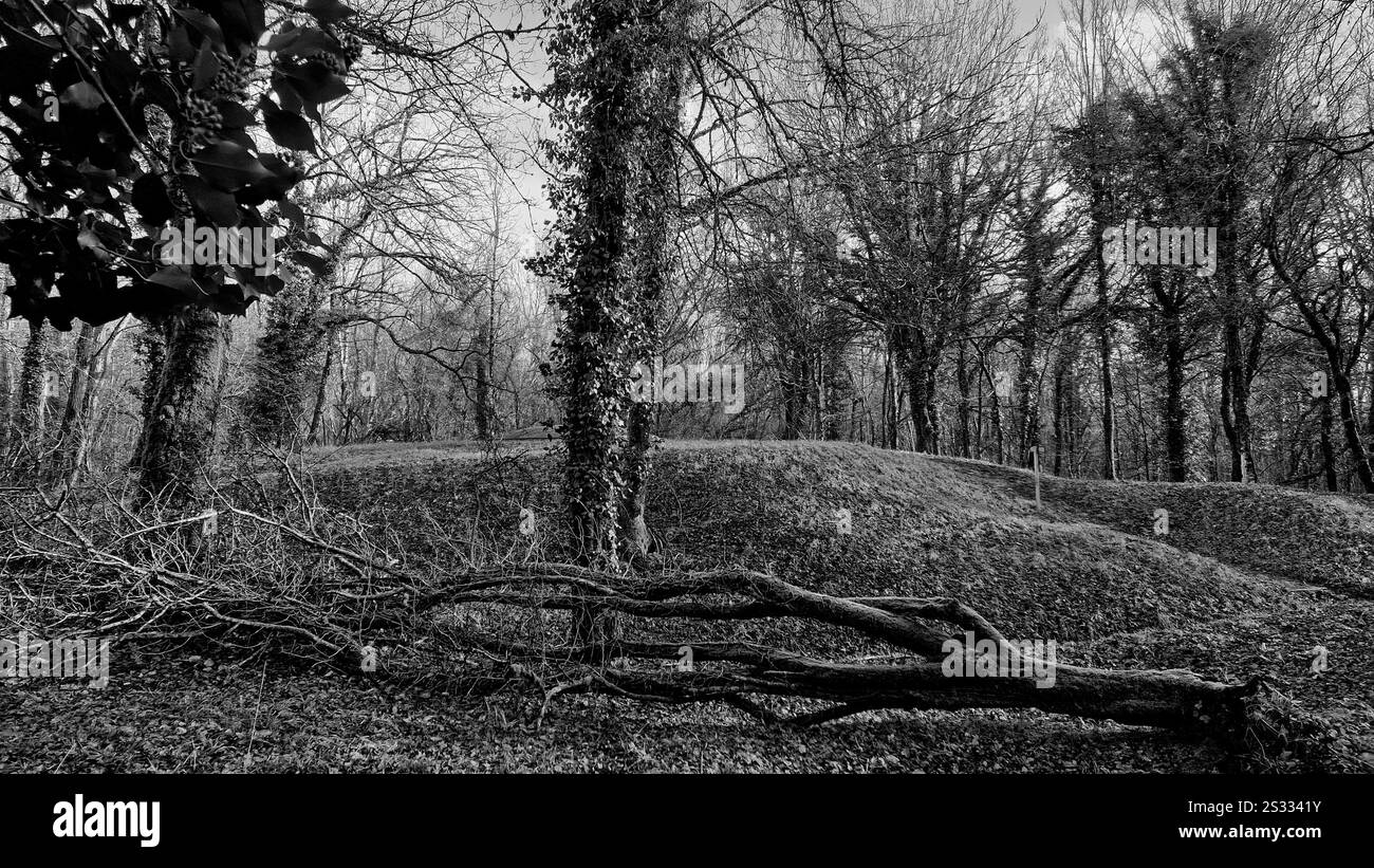 France red zone Black and White Stock Photos & Images - Alamy