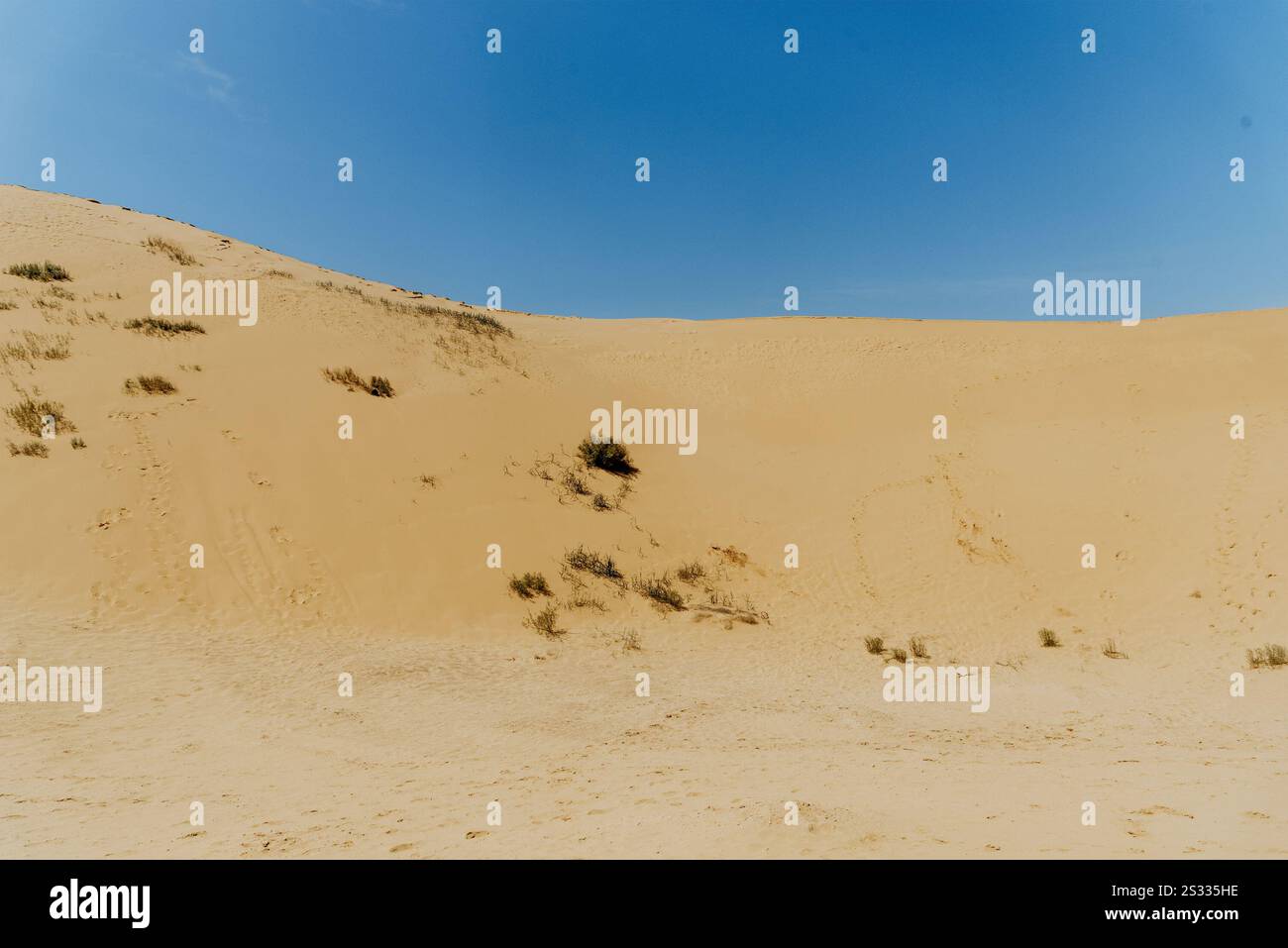 Desert landscape sandy orange dunes, sunny wilderness Stock Photo - Alamy