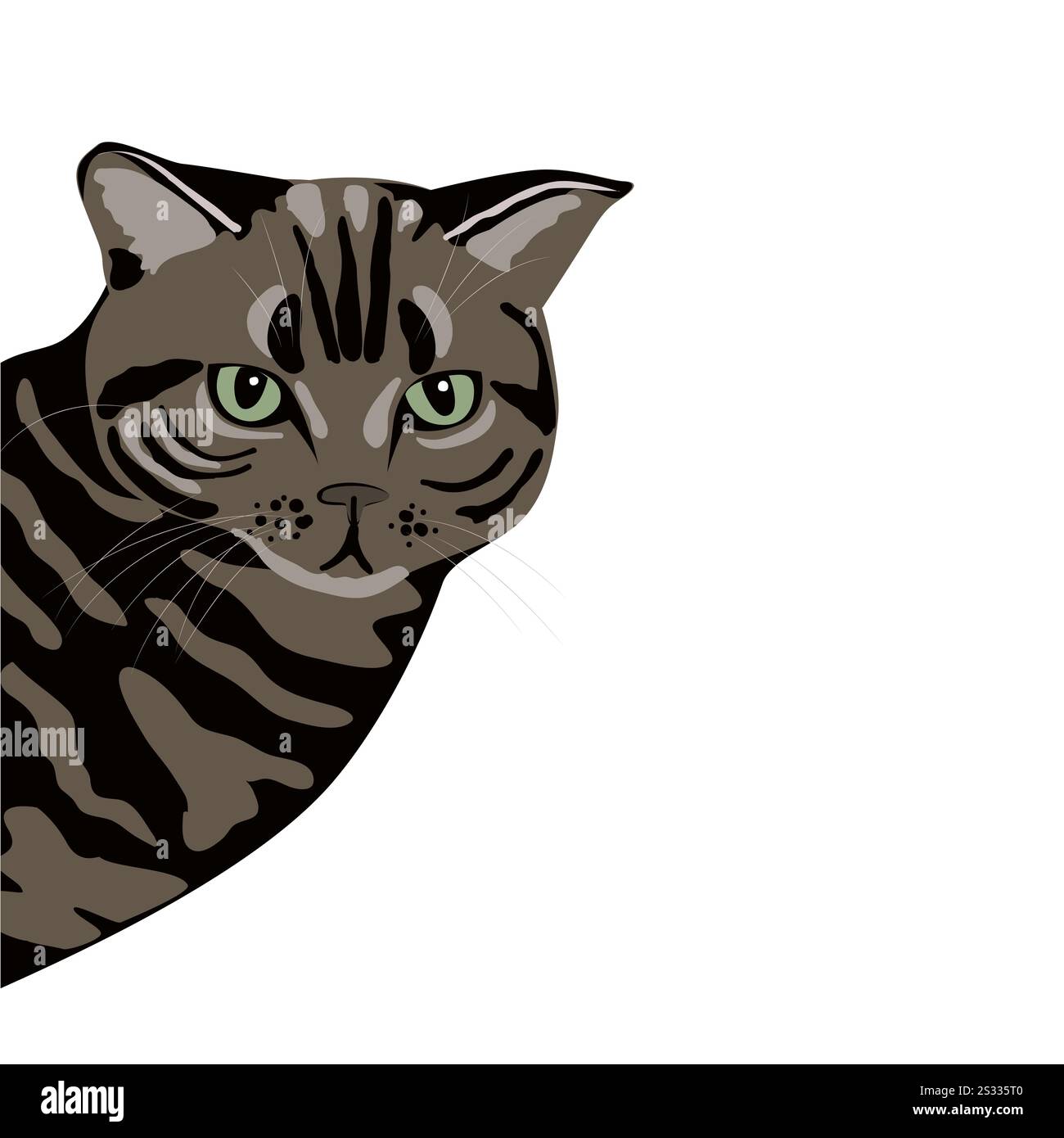 Cute tabby cat peeking out from the corner. Isolated vector ...
