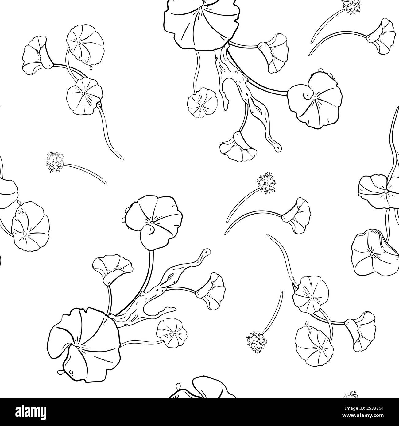 Centella asiatica stems and rounded leaves black white vector seamless ...