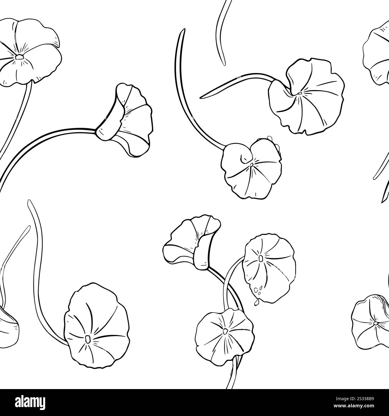 Centella asiatica in botanical style black white vector seamless ...