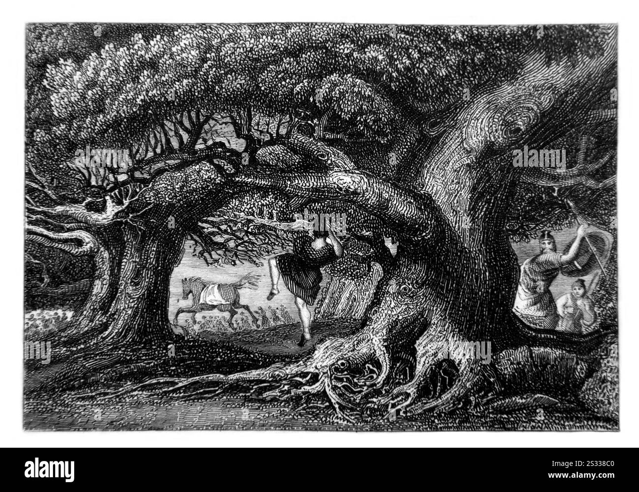 Steel Engraving ofAbsalom (King David's Son) Suspended by the hair ...