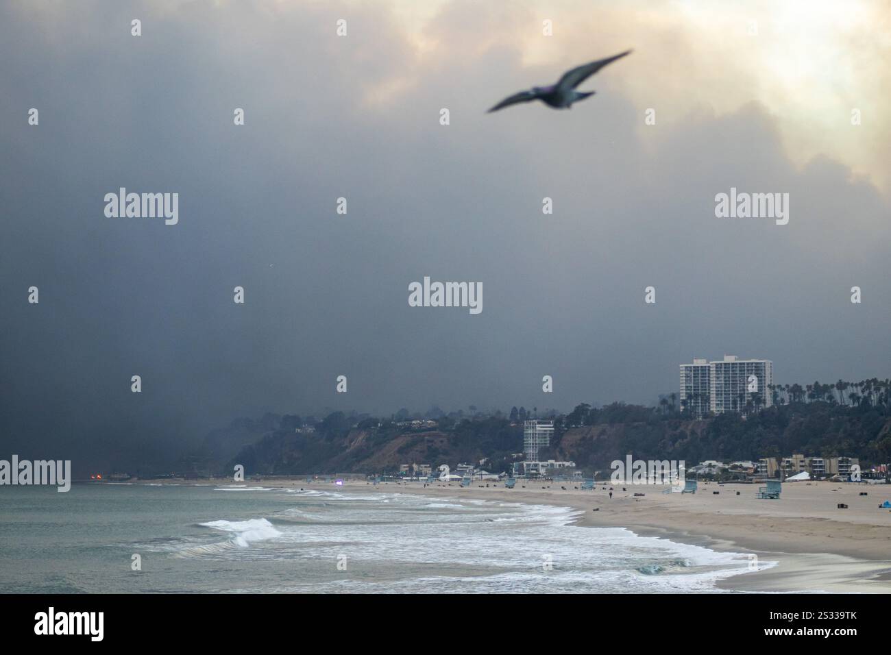 Los angeles wildfire animals hi-res stock photography and images - Alamy