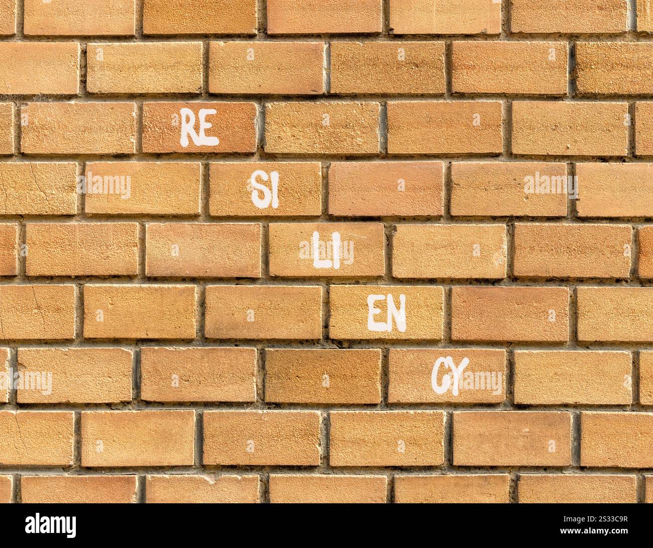 Resiliency symbol. Concept word Resiliency on beautiful brown bricks. Beautiful brown brick wall ...