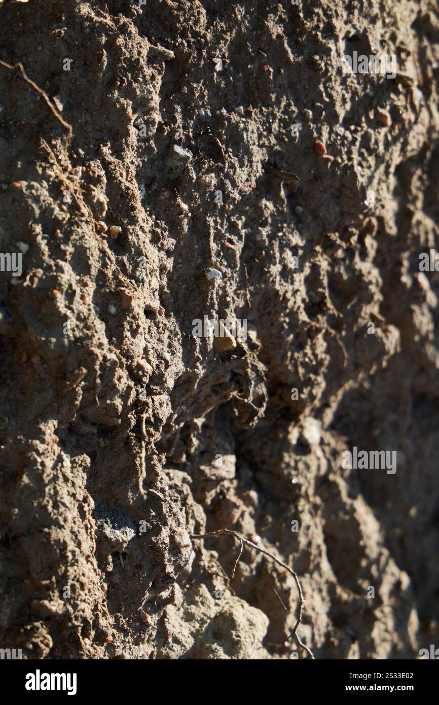 The textured tree bark showcases intricate patterns that are stunning ...