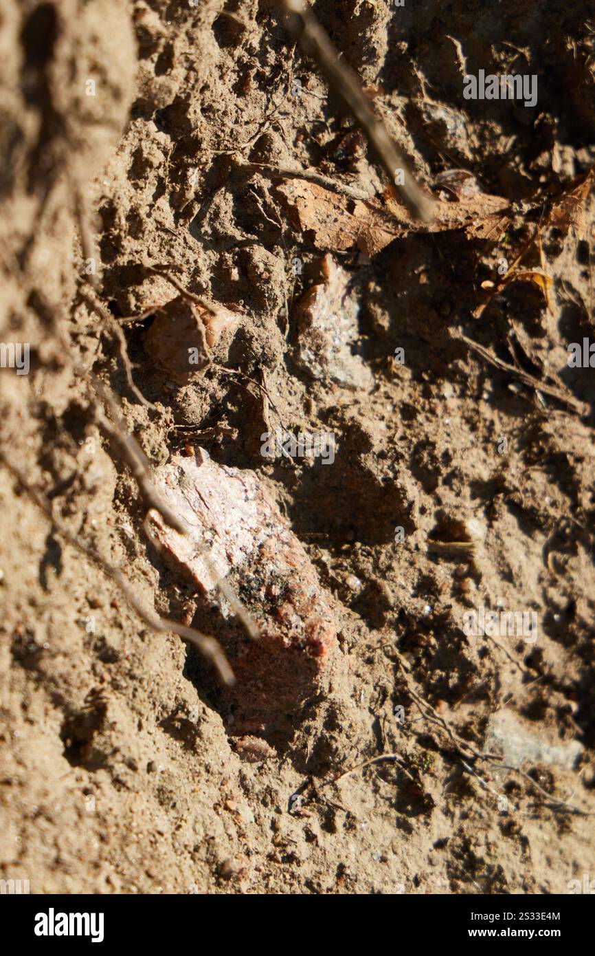 Natural Soil Composition Includes Various Rocks and Vital Organic ...