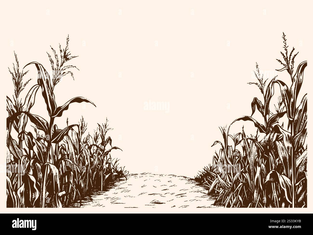 Wheat Organic Farming landscape vector. Farm and Fields with Harvest ...