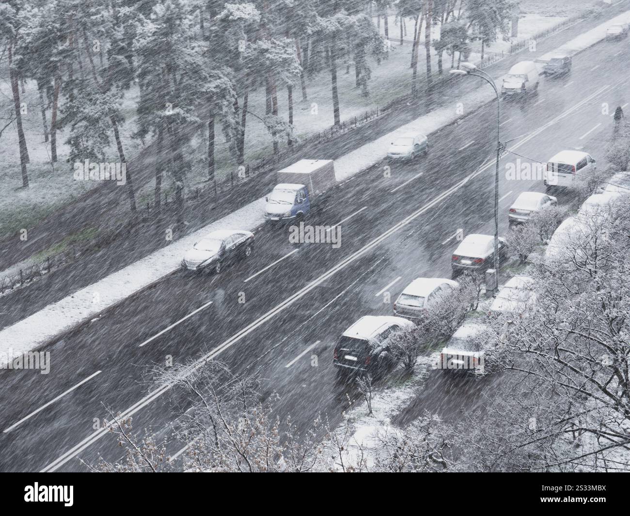 Heavy snow falling on fir hi-res stock photography and images - Alamy