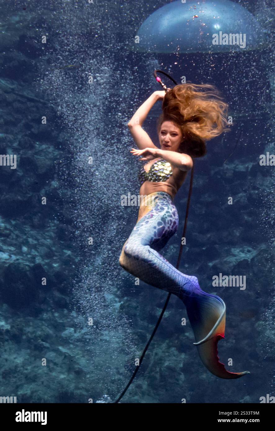 Mermaid show at Weeki Wachee State Park, Florida Stock Photo - Alamy