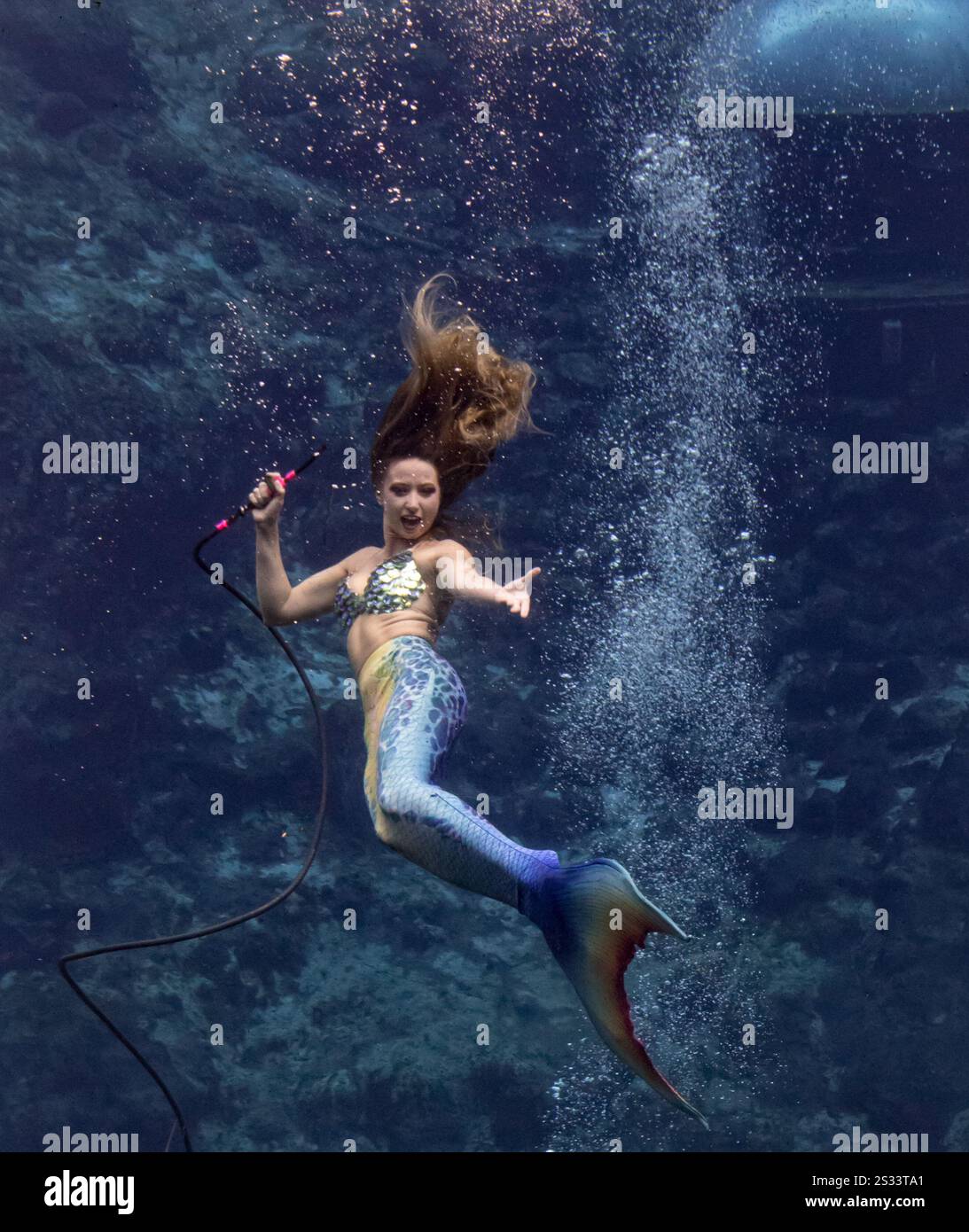Mermaid show at Weeki Wachee State Park, Florida Stock Photo - Alamy