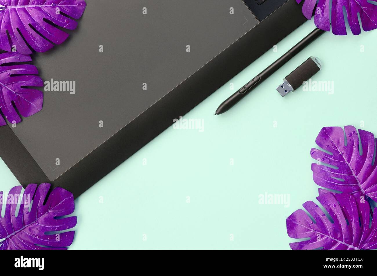 Graphic tablet and pen for illustrators and designers lies with USB ...