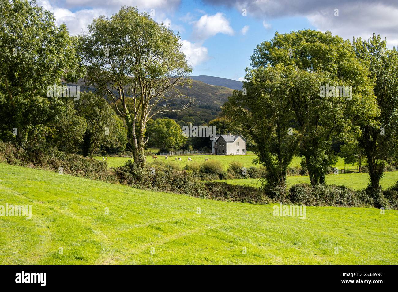 Classic looking Irish Homestead in Ring of Kerry Stock Photo - Alamy