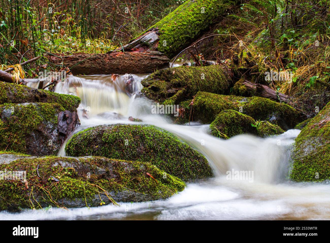 Small waterfalls down Wagner Creek Stock Photo - Alamy