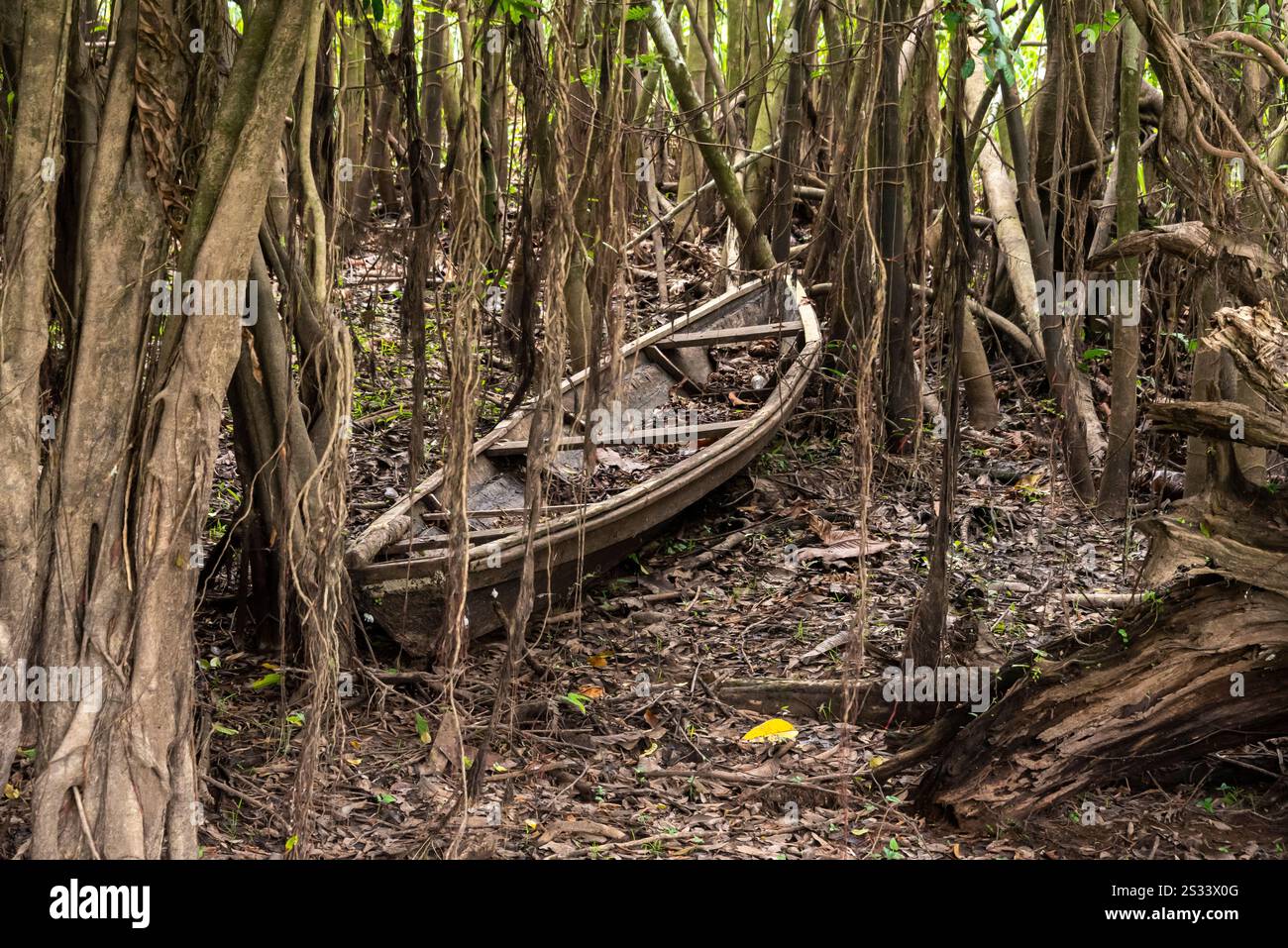 Wooden conoe waiting to be used. San Antonio del Cacao Island, Amazonas ...