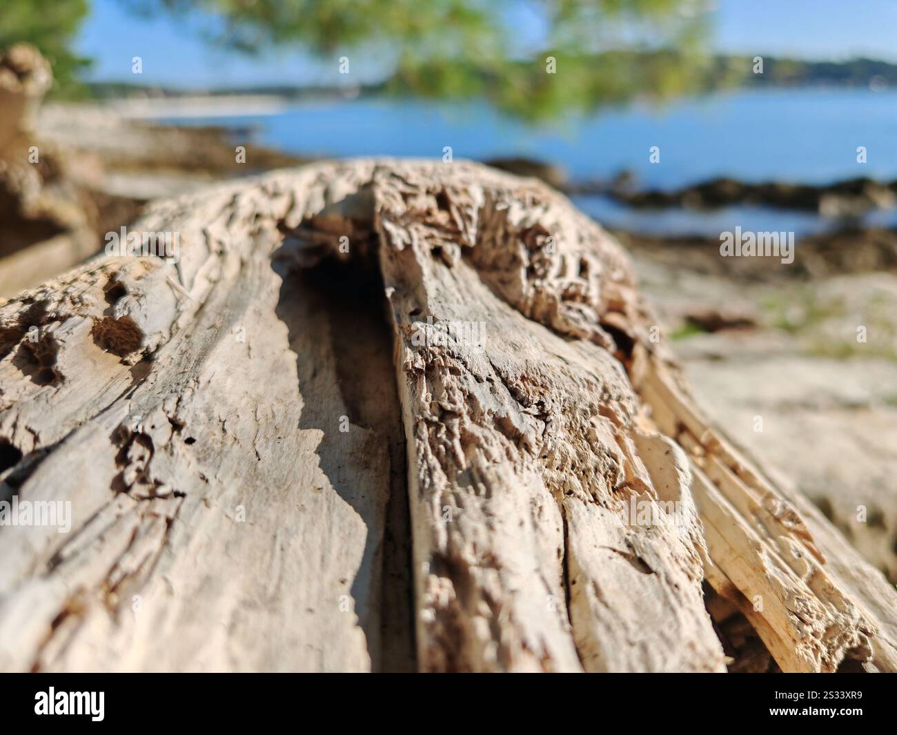 Coastal wonder hi-res stock photography and images - Alamy