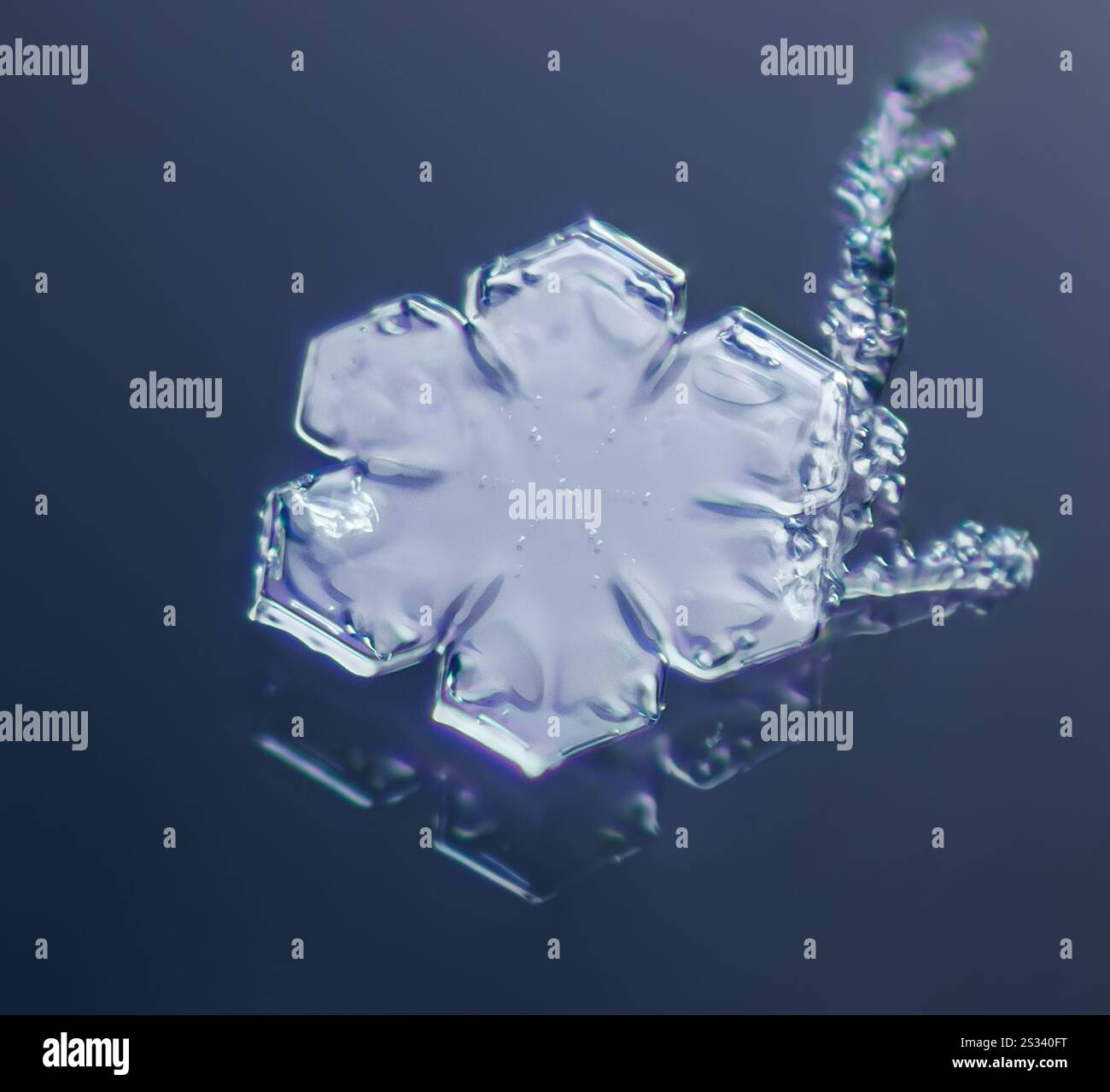 An Intricate and Beautiful Closeup of a Snowflake Captured in Stunning ...