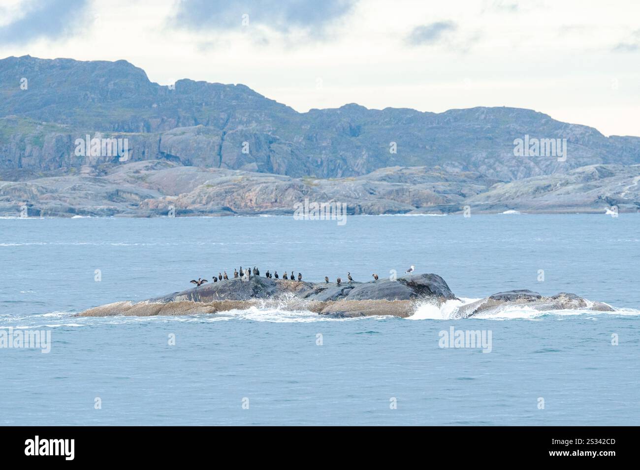 Norway, Finnmark, Grense Jakobselv, Russian border, Barents Sea Stock ...