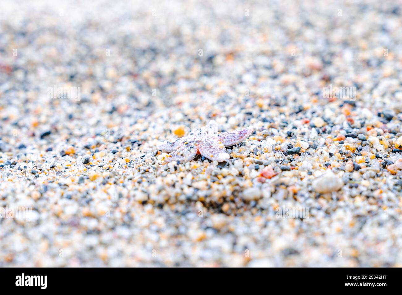 Norway, Finnmark, Grense Jakobselv, Russian border, Barents Sea Stock ...