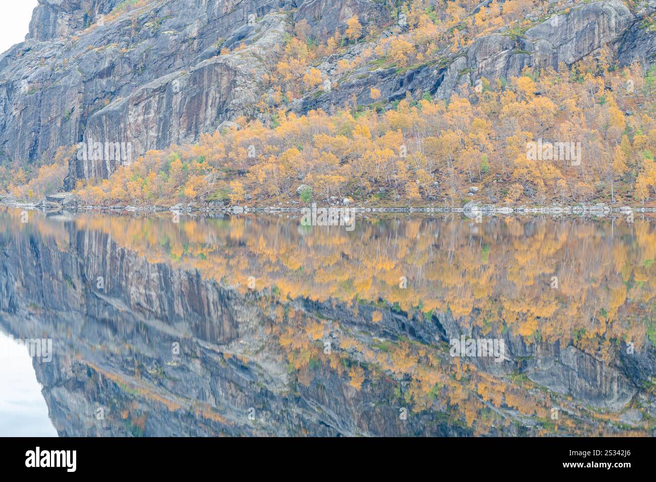 Norway, Finnmark, Grense Jakobselv, Russian border Stock Photo - Alamy