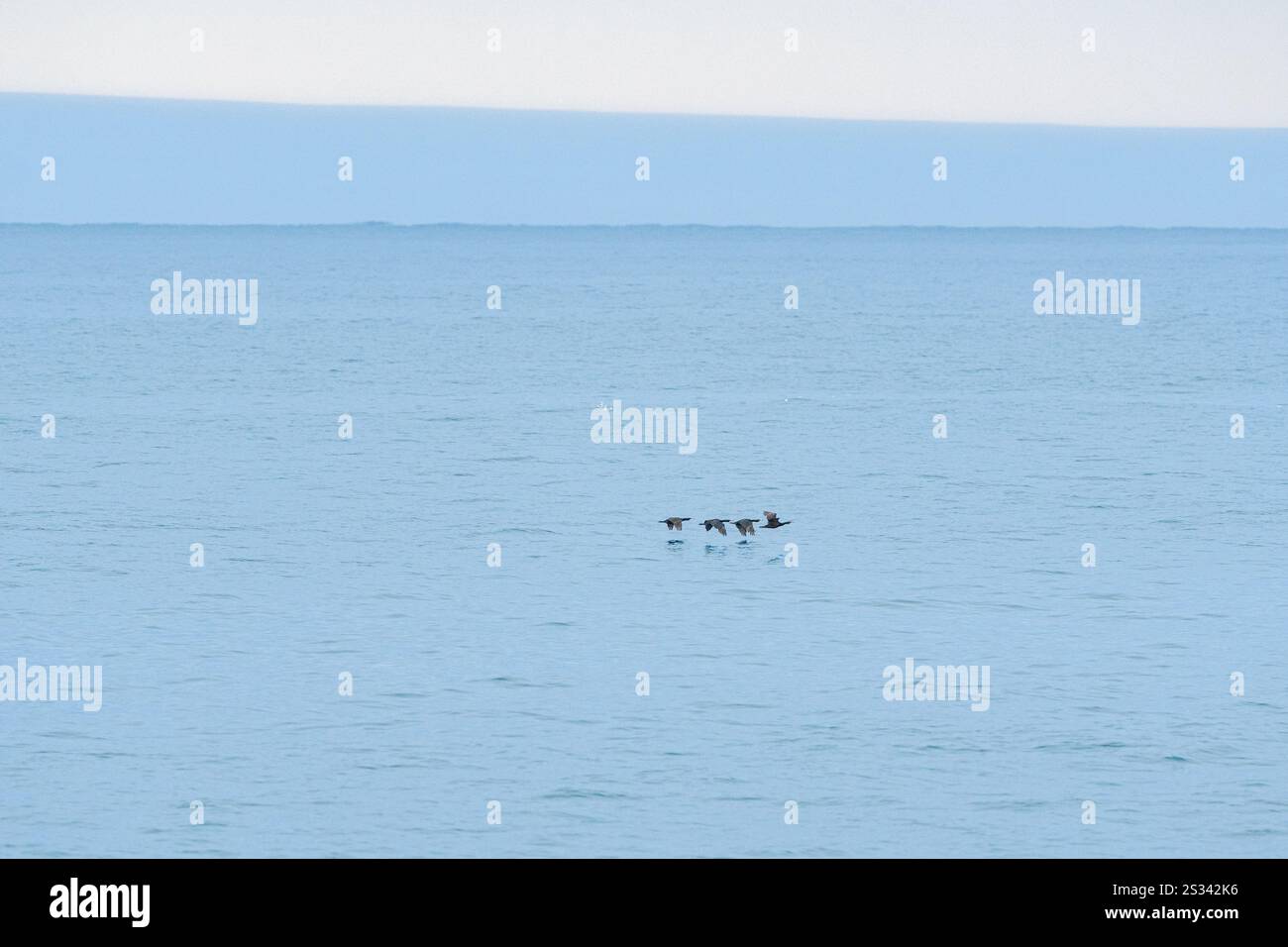 Norway, Finnmark, Grense Jakobselv, Russian border Stock Photo - Alamy