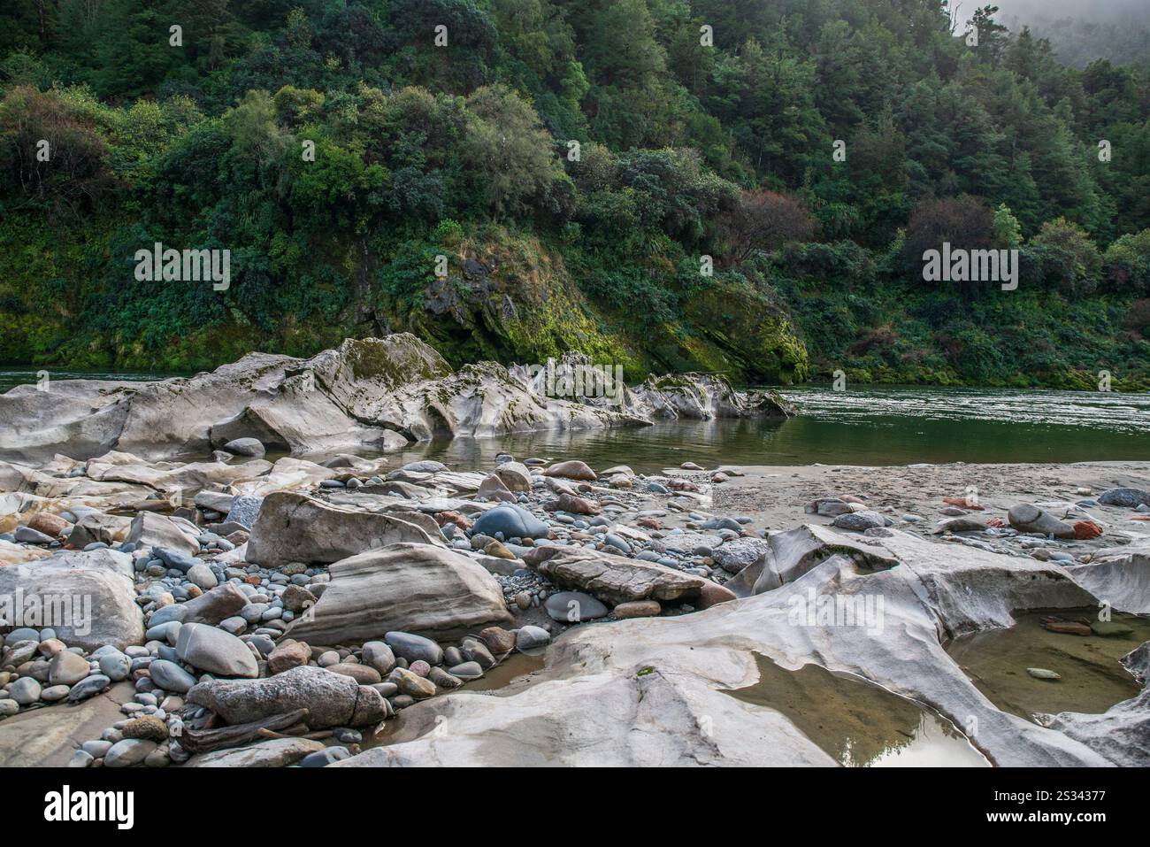 The Buller river flowing through the forest covered upper Buller Gorge ...