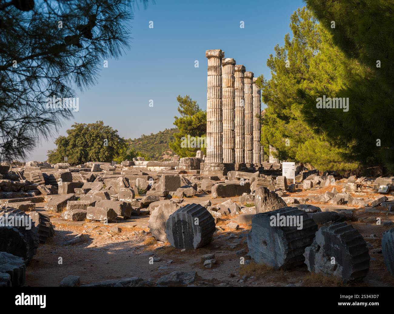 The magical Temple of Athena in the ruins of Priene. Historical ...